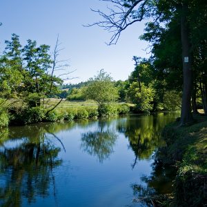 Thorncroft Manor – Halcyon Offices